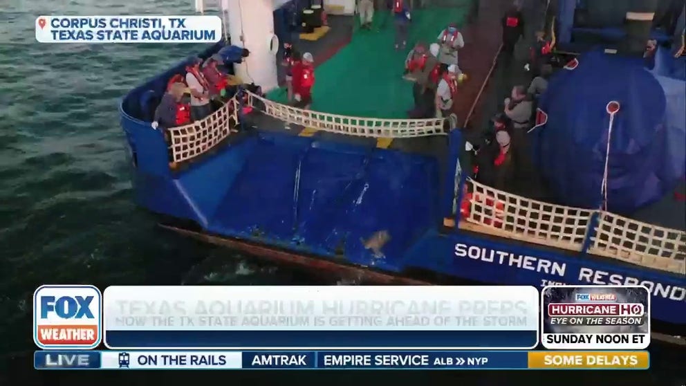 A look inside a unique animal rescue program | Latest Weather Clips ...