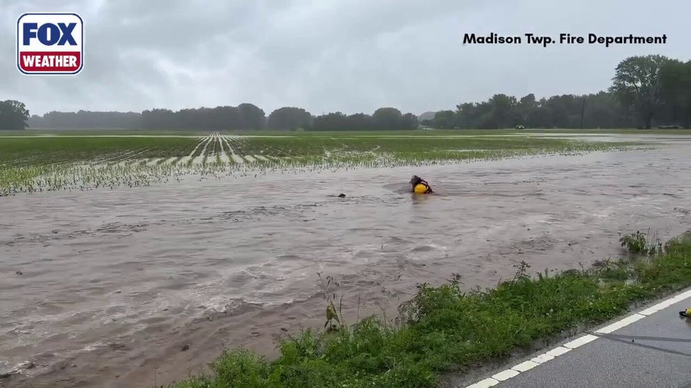 Video: Baby deer saved from rushing floodwaters in Indiana | Fox Weather