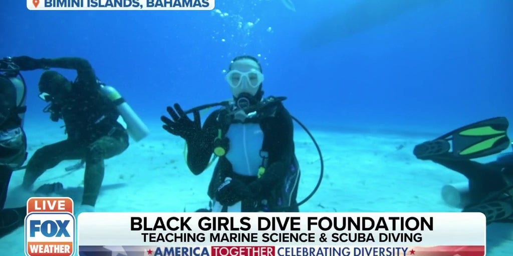Black Girls Dive Foundation empowering young women to explore STEM ...