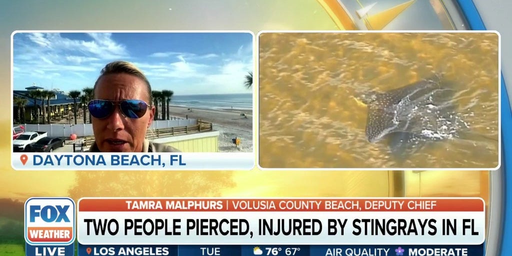 The 'stingray shuffle' can help protect you from getting pierced ...