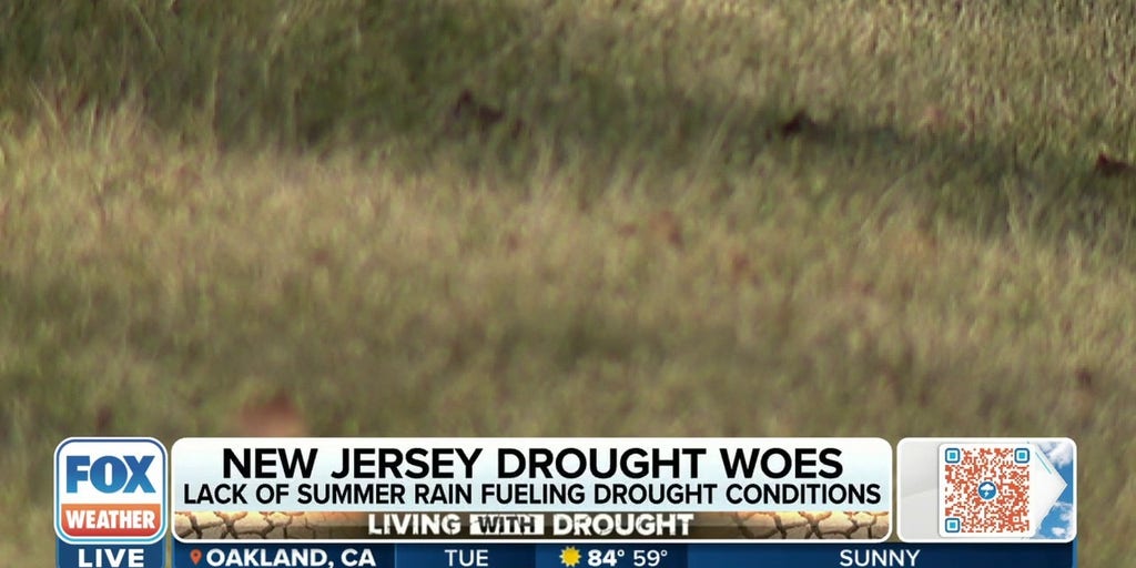 New Jersey under statewide drought watch, residents asked to conserve ...