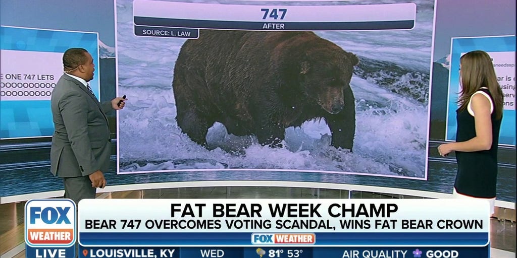Fat Bear Week Champ: Bear 747 overcomes voting scandal, wins Fat Bear ...
