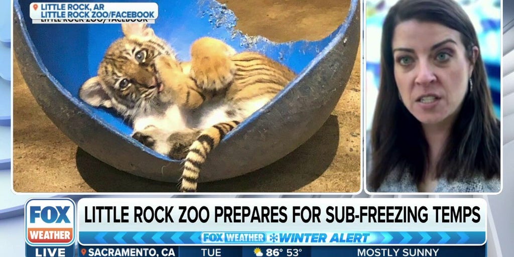 Little Rock Zoo prepares for sub-freezing temperatures | Latest Weather ...