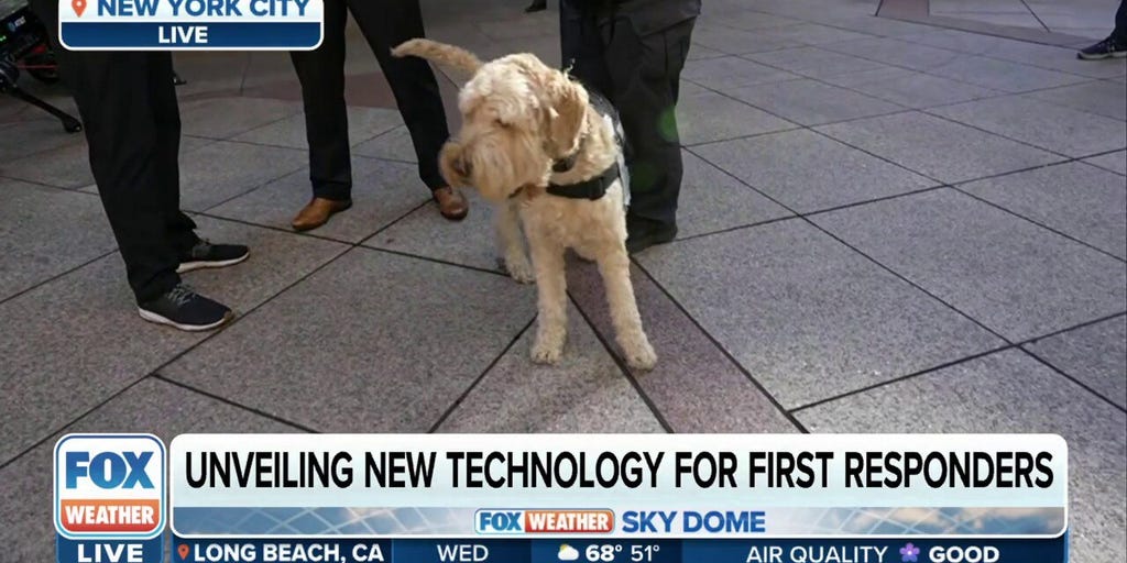 ROG the Dog: Trained Labradoodles specialize in animal assisted therapy ...