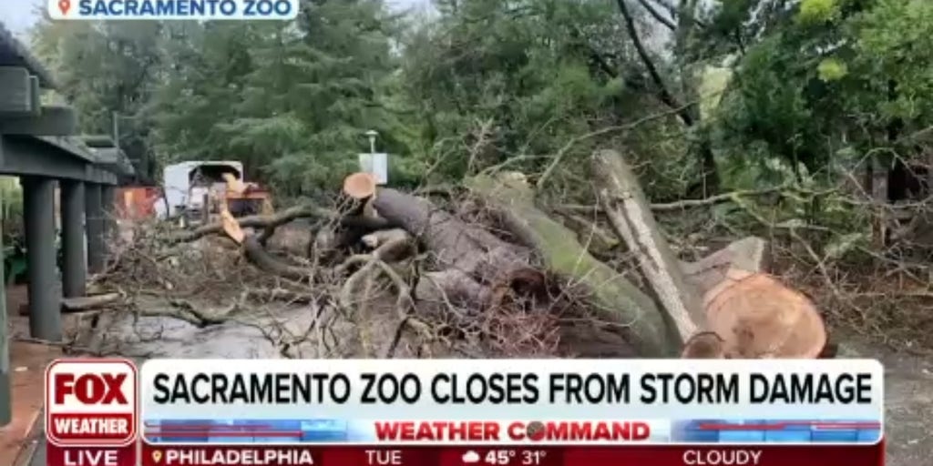 Storm damage forces Sacramento Zoo to close | Latest Weather Clips ...