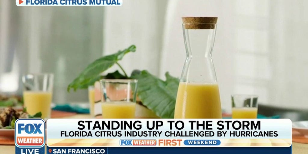 Florida citrus industry challenged by hurricanes, freezing temperatures ...
