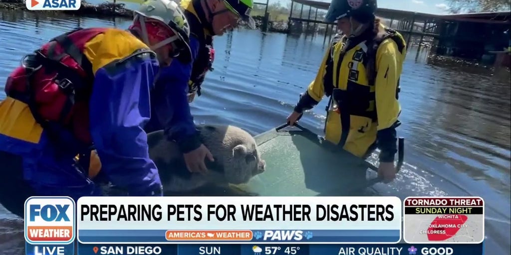 Preparing pets for weather disasters | Latest Weather Clips | FOX Weather
