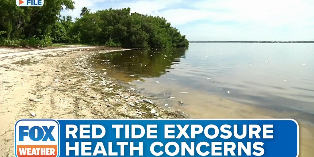 Red tide in Florida causing respiratory concerns | Latest Weather Clips ...