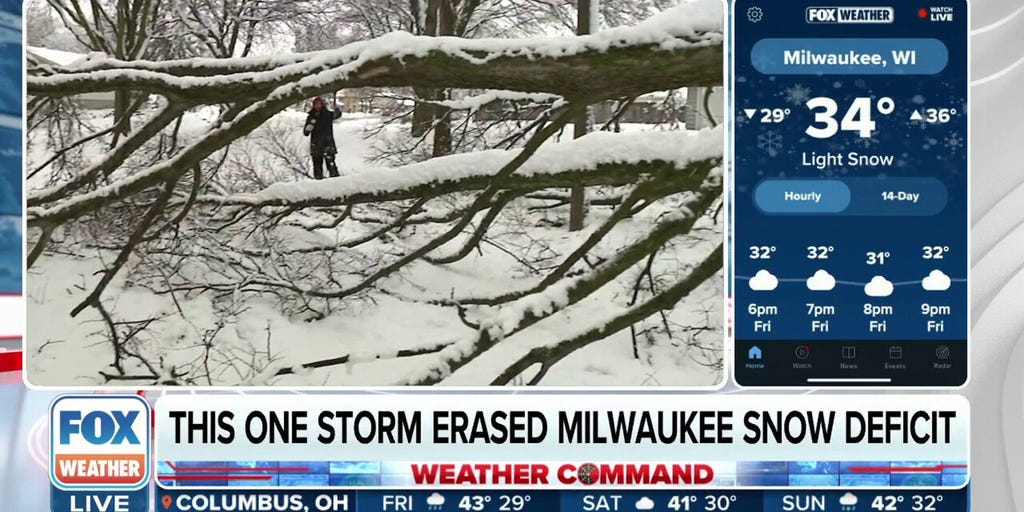 Heavy snow causes trees to topple in Milwaukee | Latest Weather Clips ...