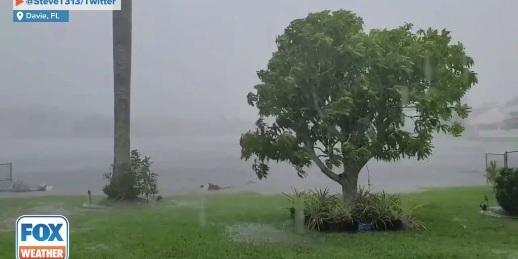Strong winds and heavy rain slam Davie, FL | Latest Weather Clips | FOX ...