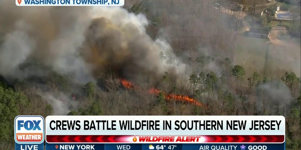 Crews respond to wildfire in New Jersey | Latest Weather Clips | FOX ...