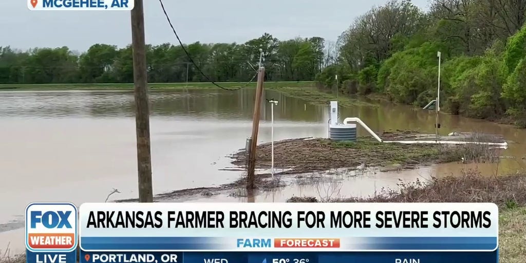 Rounds of severe storms, recent flooding wipes out crops at Arkansas ...