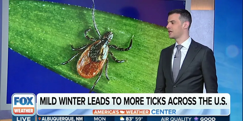 Disease carrying ticks on the rise across the US | Latest Weather Clips ...