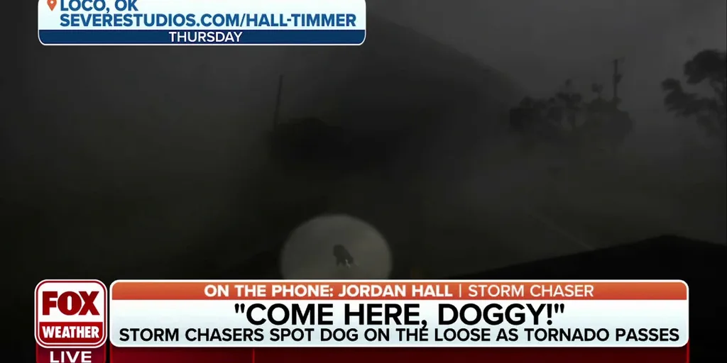 Storm chasers spot dog on the loose as tornado passes | Latest Weather ...