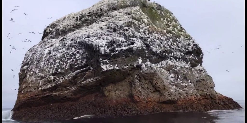 Watch: 360-degree look at Rockall, UK's most-dangerous island | Latest ...