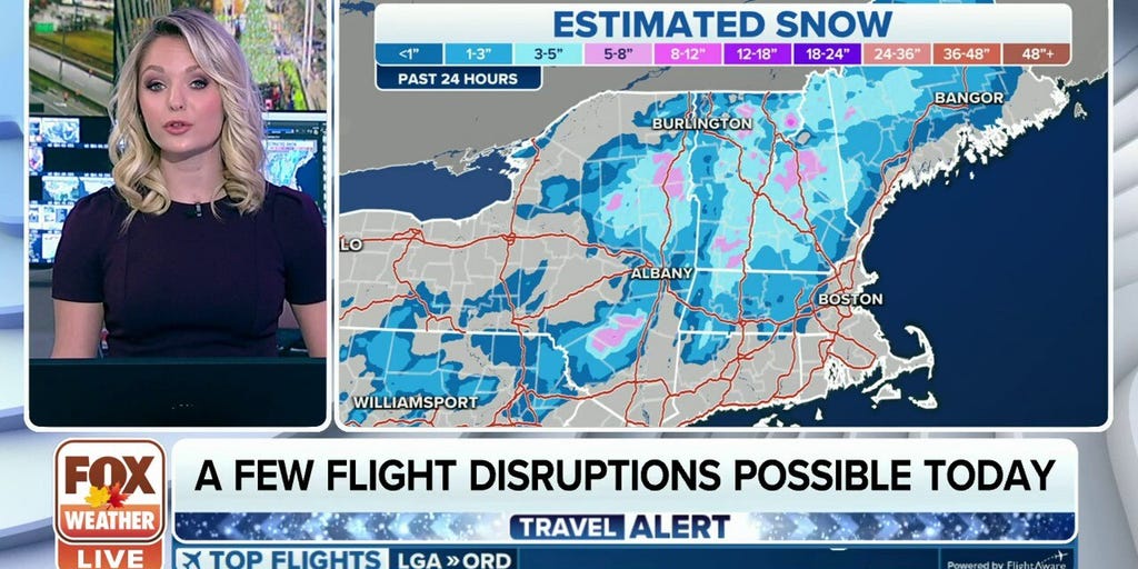 Few flight disruptions possible Wednesday as Thanksgiving holiday nears ...