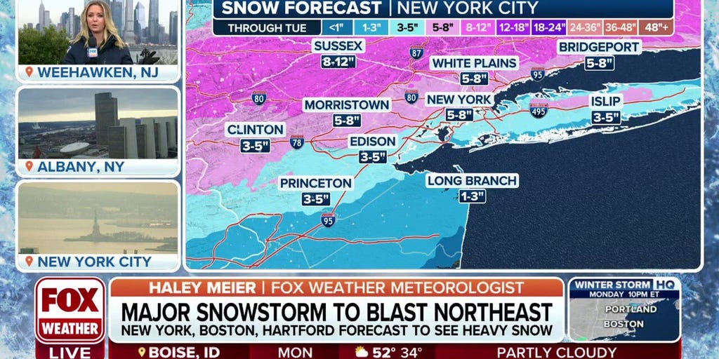 Up to 8 inches of snow forecast in New York City | Latest Weather Clips ...