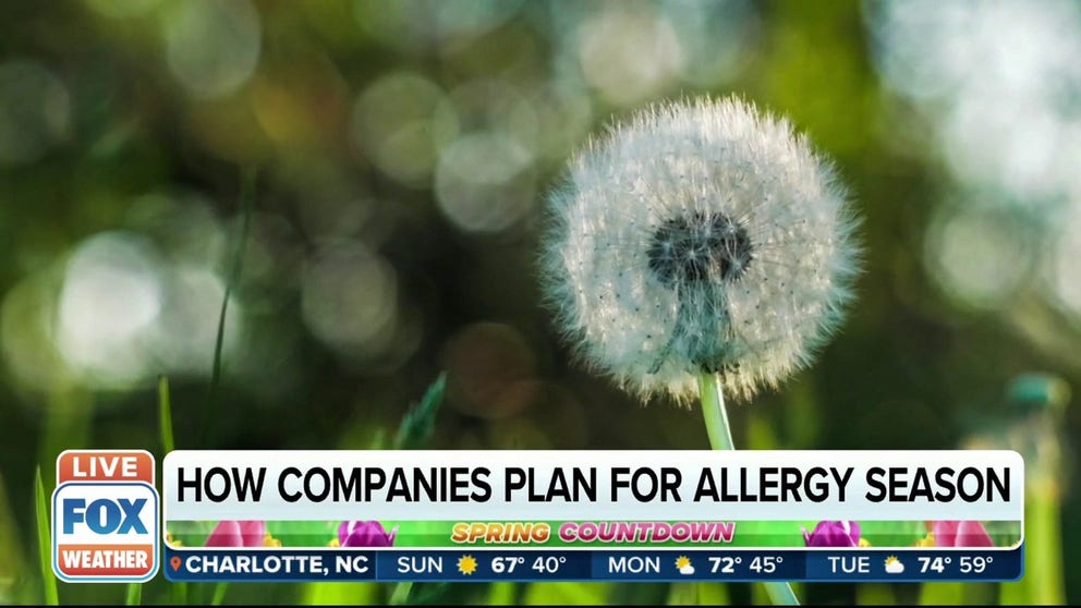 How companies plan for allergy season | Latest Weather Clips | FOX Weather
