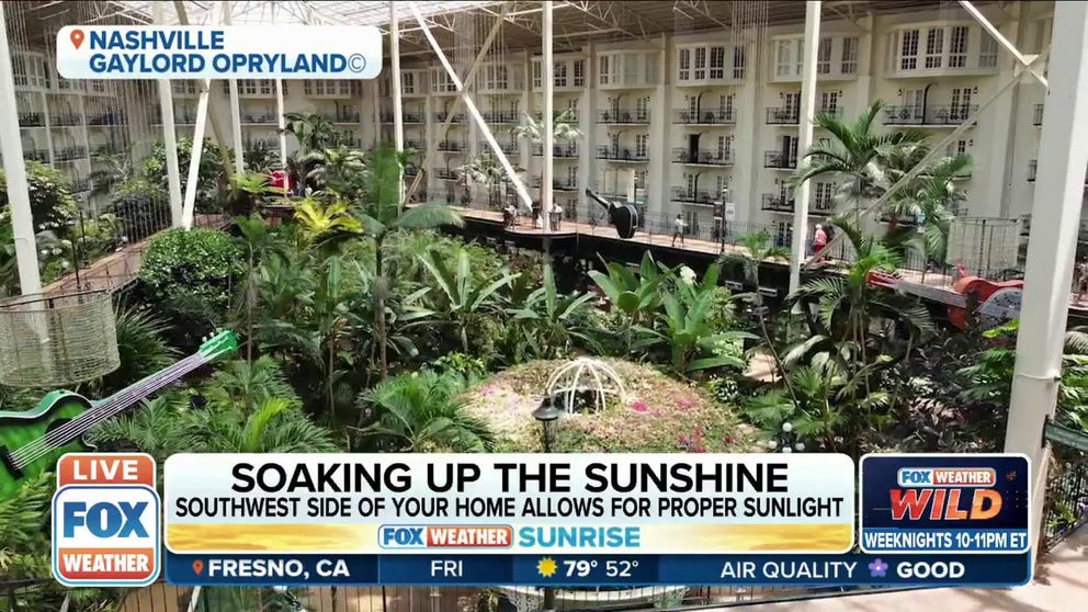 Controlled ecosystem helps plants to thrive in comfortable environment ...