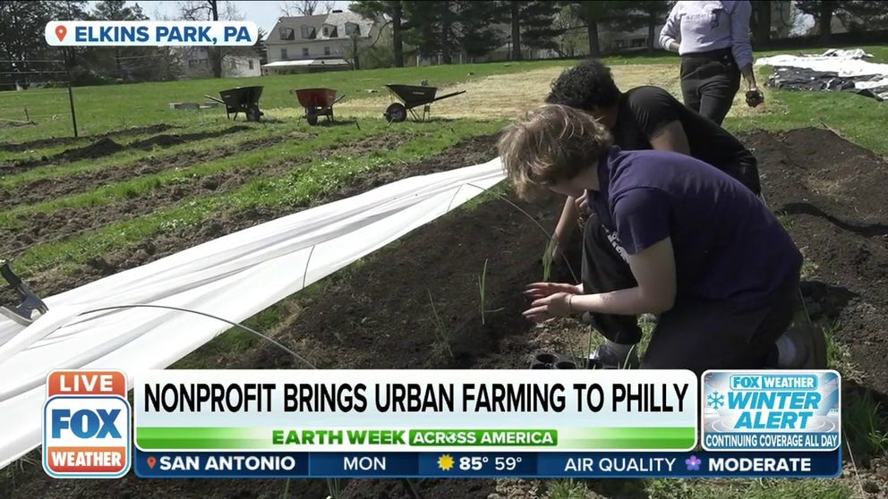 Nonprofit bringing urban farming to Philadelphia | Latest Weather Clips ...