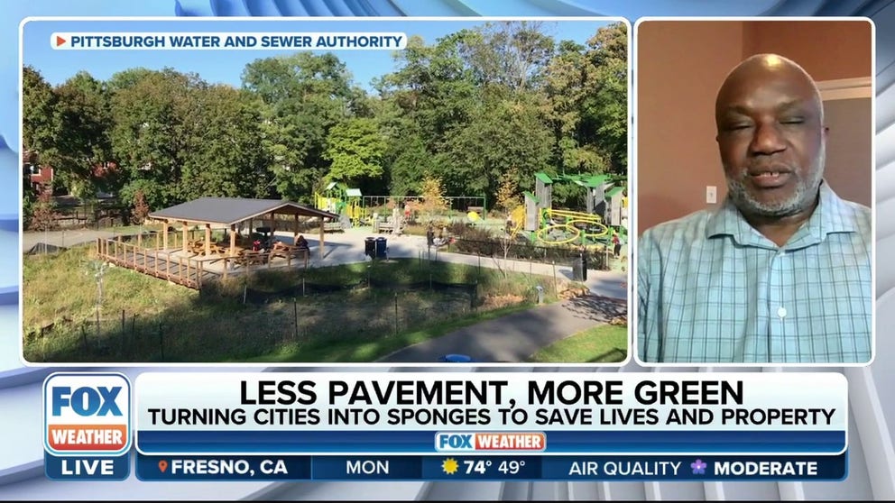 How 'sponge cities' can absorb water, prevent flooding | Latest Weather ...