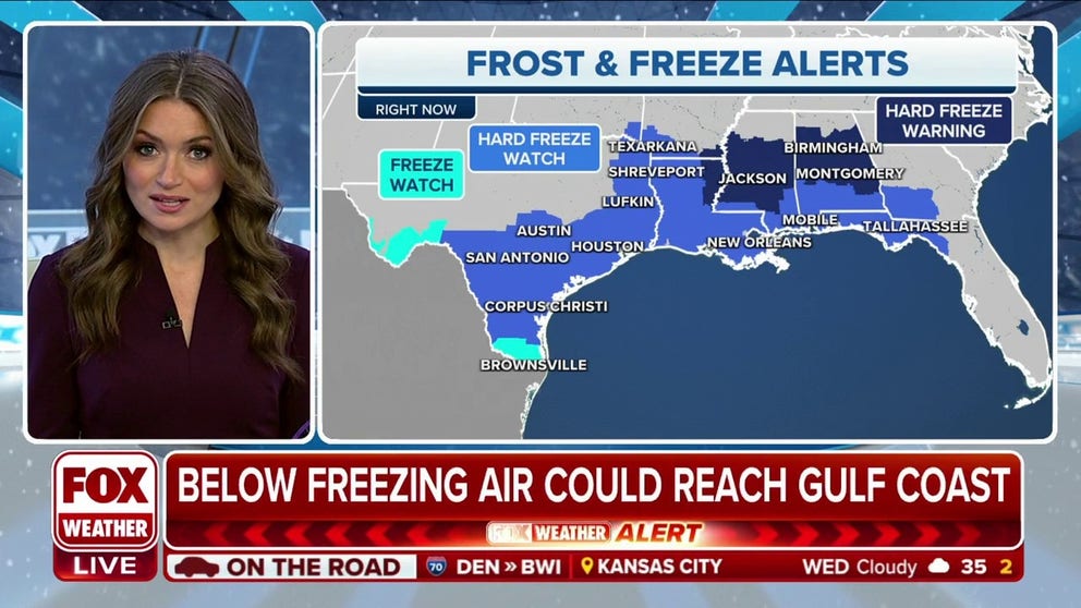 Frost and freeze alerts issued along Gulf Coast | Latest Weather Clips ...