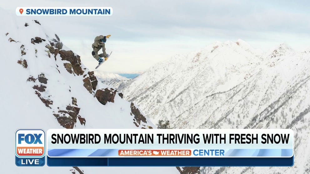 Snowbird Mountain seeing best conditions in years with over 400 inches ...