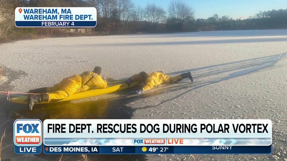 Massachusetts firefighters rescue dog from frozen pond during polar ...