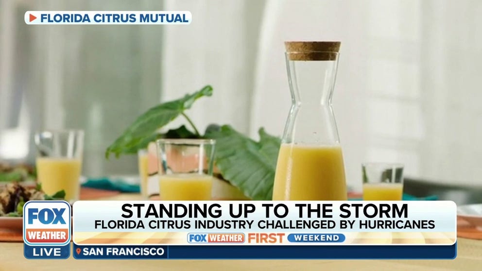 Florida citrus industry challenged by hurricanes, freezing temperatures ...