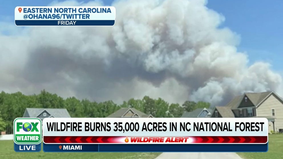 North Carolina wildfire burns 35,000 acres in national forest | Latest ...