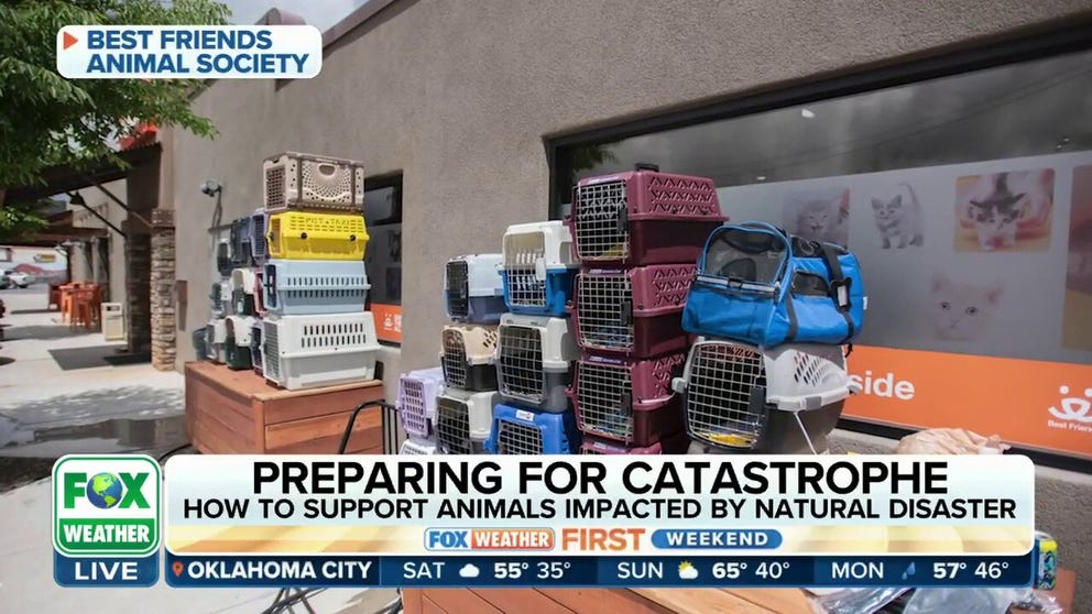 Supporting animals impacted by natural disasters | Latest Weather Clips ...