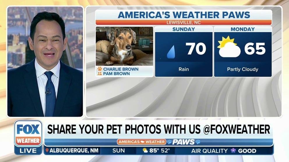America's Weather Paws | April 30 | Latest Weather Clips | FOX Weather