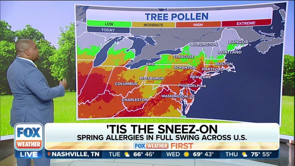 Allergy season in full swing across the U.S. | Latest Weather Clips ...