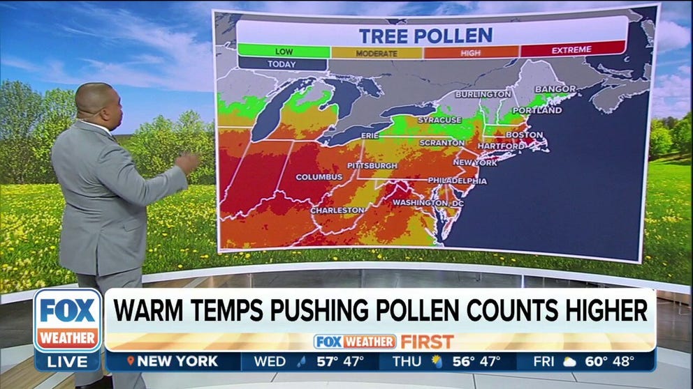 Pollen counts across the U.S. increase due to warmer temperatures ...