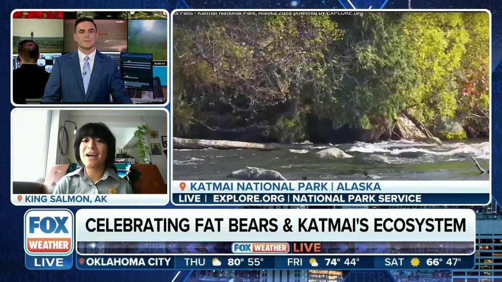 Voting underway for Fat Bear Week 2023 | Latest Weather Clips | FOX Weather