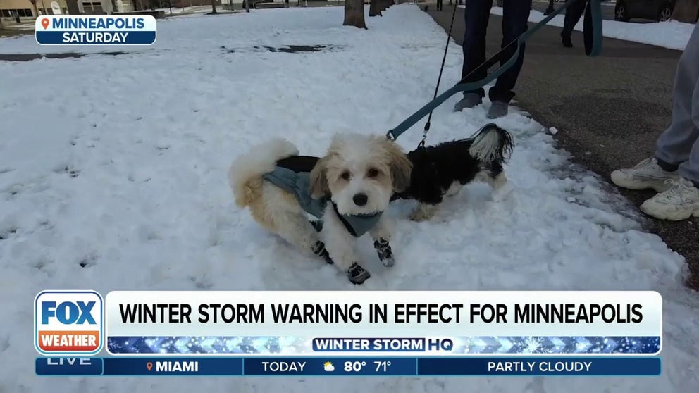 Major spring storm could dump 8 inches of snow on Minneapolis | Latest ...