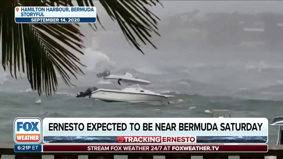 Puerto Rico horse rescue facility impacted by Ernesto | Latest Weather ...