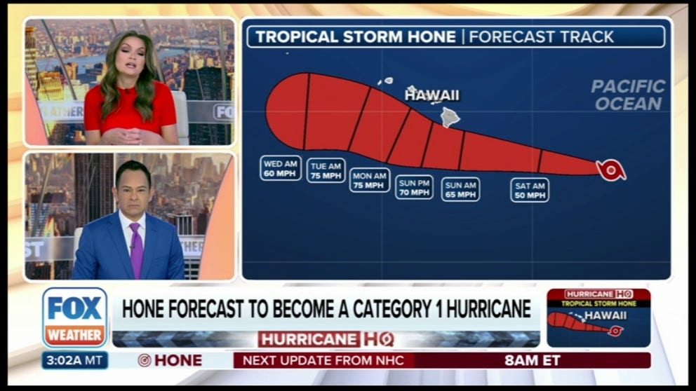 Tropical Storm Hone expected to slowly gain strength as it tracks ...
