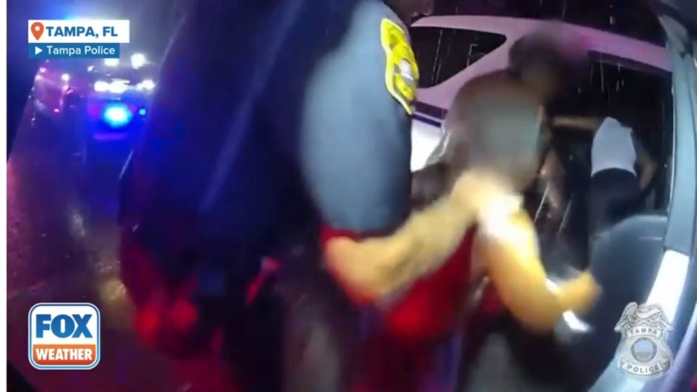 15 rescued as tree crashes into Tampa family home during Hurricane ...