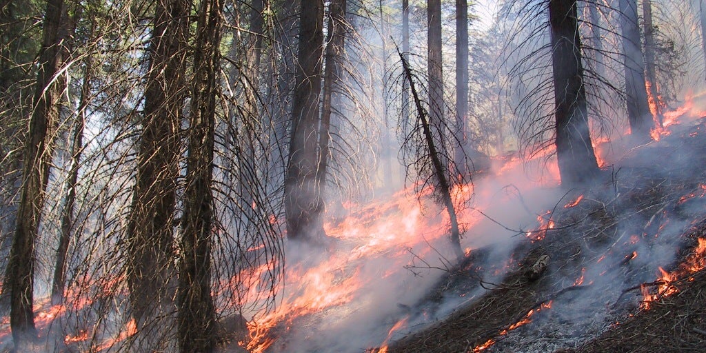 How the lay of the land affects wildfire behavior | Fox Weather