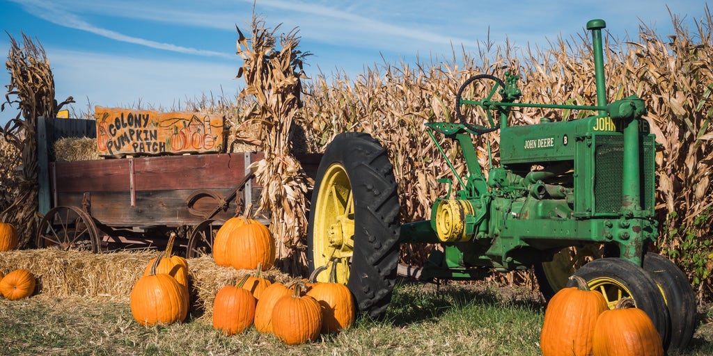 What’s the perfect weather for growing pumpkins? | Fox Weather