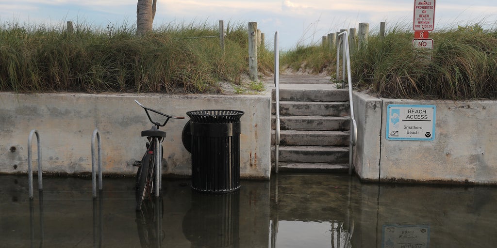 New moon triggers King Tides along Southeast coast | Fox Weather