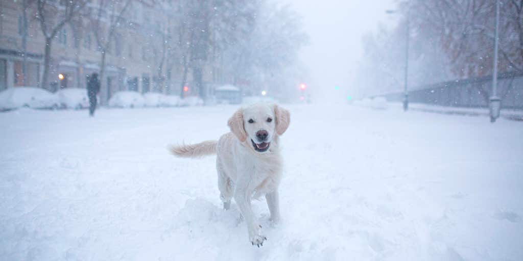 Snow 101: The basics of snow | Fox Weather
