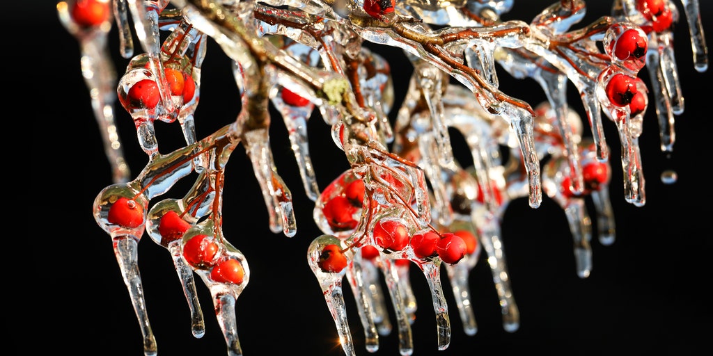 Snow, sleet, freezing rain and hail: What's the difference? | Fox Weather