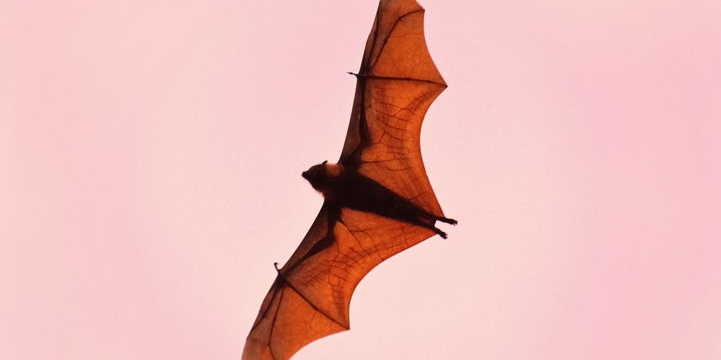 How scientists learned about climate conditions hundreds of years ago ...