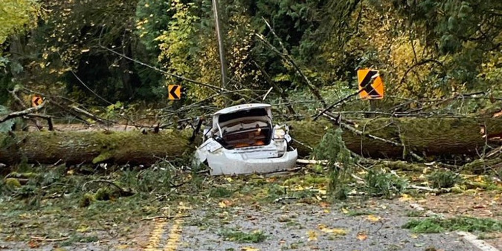 Northwest windstorm claims 2 lives near Seattle as strong gusts topple ...