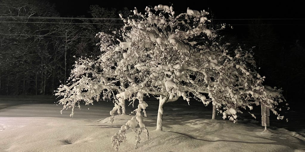 Northern Michigan city records nearly 1 foot of snow in a single day ...