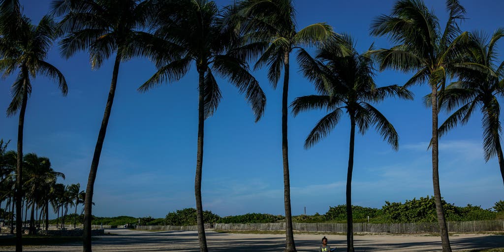 Warm, beach locations top lists of expected Thanksgiving destinations ...