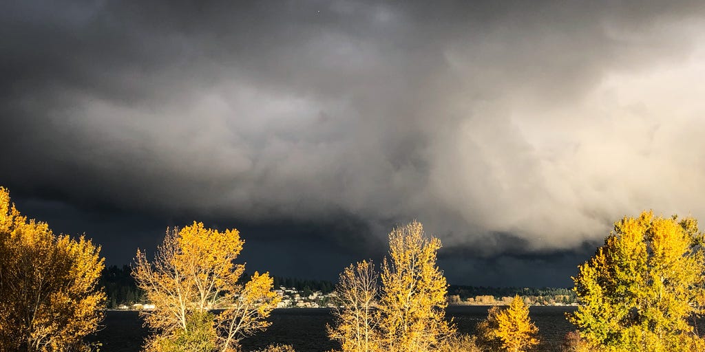 It's been months since Seattle's had 3 dry days in a row | Fox Weather
