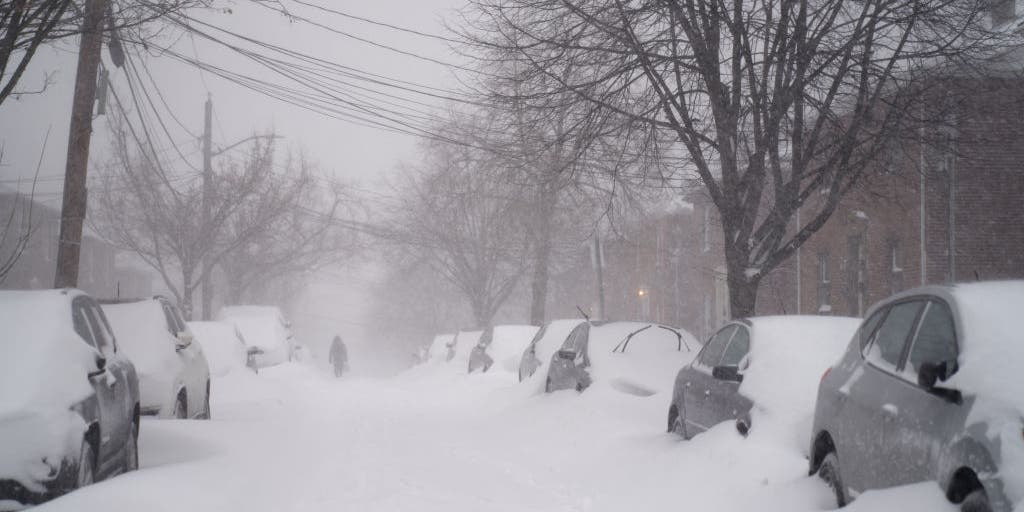 Top snow totals from the Blizzard of 2022 | Fox Weather